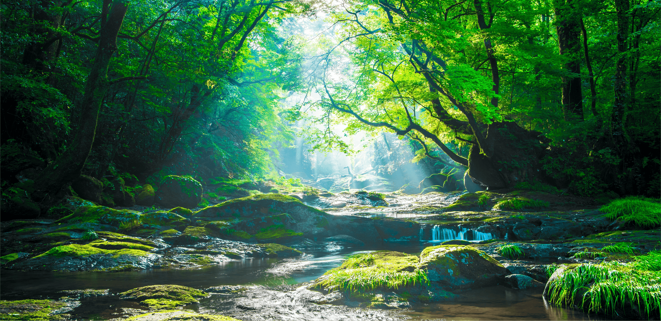 food diversity tottori sakyu【フードダイバーシティ鳥取砂丘】